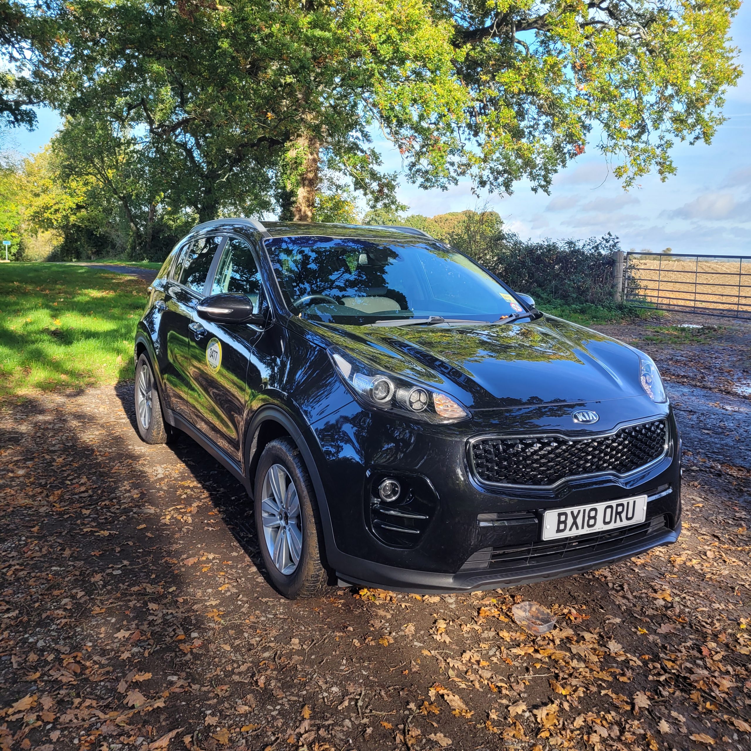 About Us – Tav's Cars